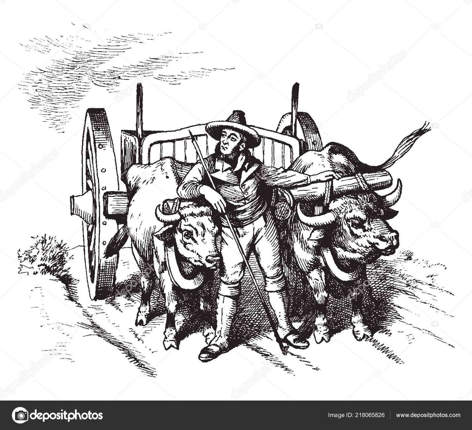 Man Cart Vintage Line Drawing Engraving Illustration Stock Illustration ...