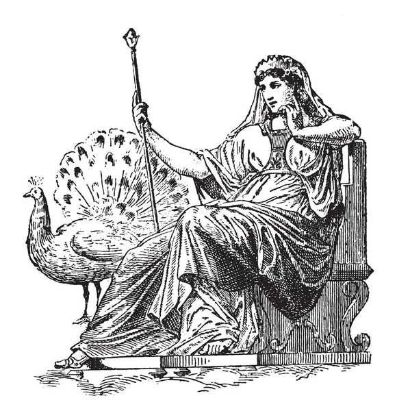 This is the picture of Hera with her peacock. In Greek mythology, she ...