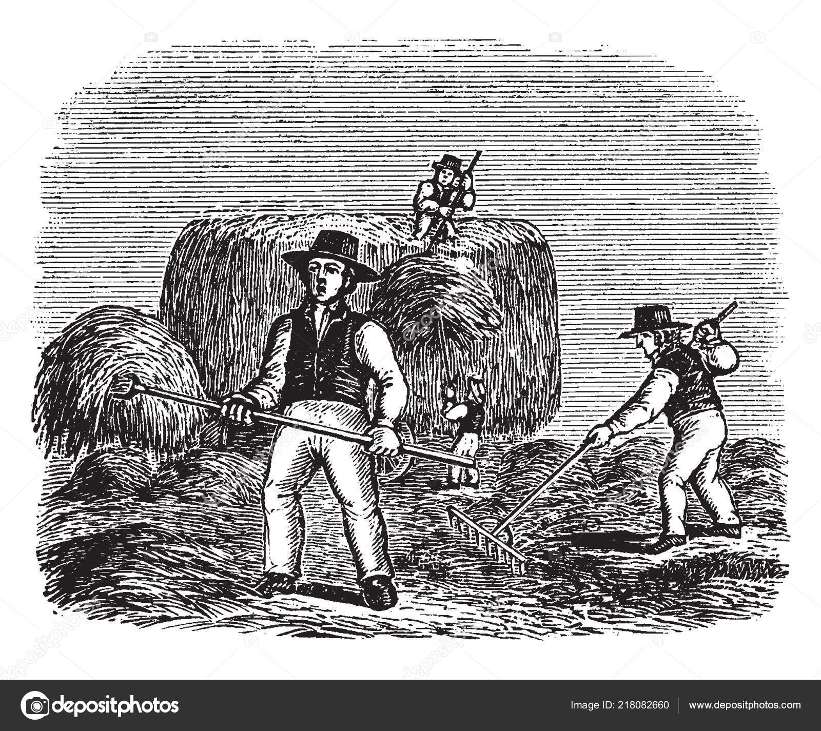 Three Men Making Hay Vintage Line Drawing Engraving Illustration Stock ...
