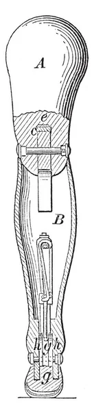 Prosthetic leg drawing Vector Art Stock Images | Depositphotos