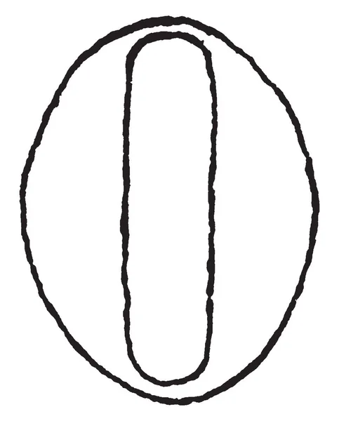 Roundlet Plate Addition Foregoing Tinctures Vintage Line Drawing ...