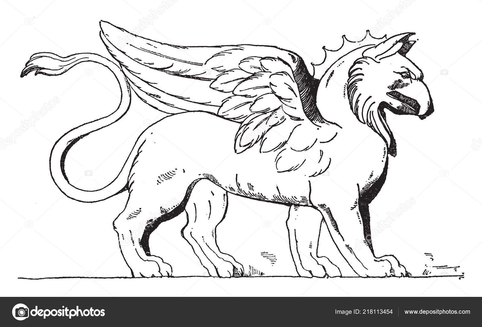 Mythical Creature Head Wings Eagle Body Lion Vintage Line Drawing Stock ...