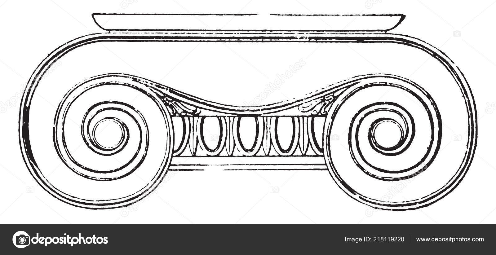 Ionic Capital Volutes Its Capital Theoretical Practical Discourse Brief ...