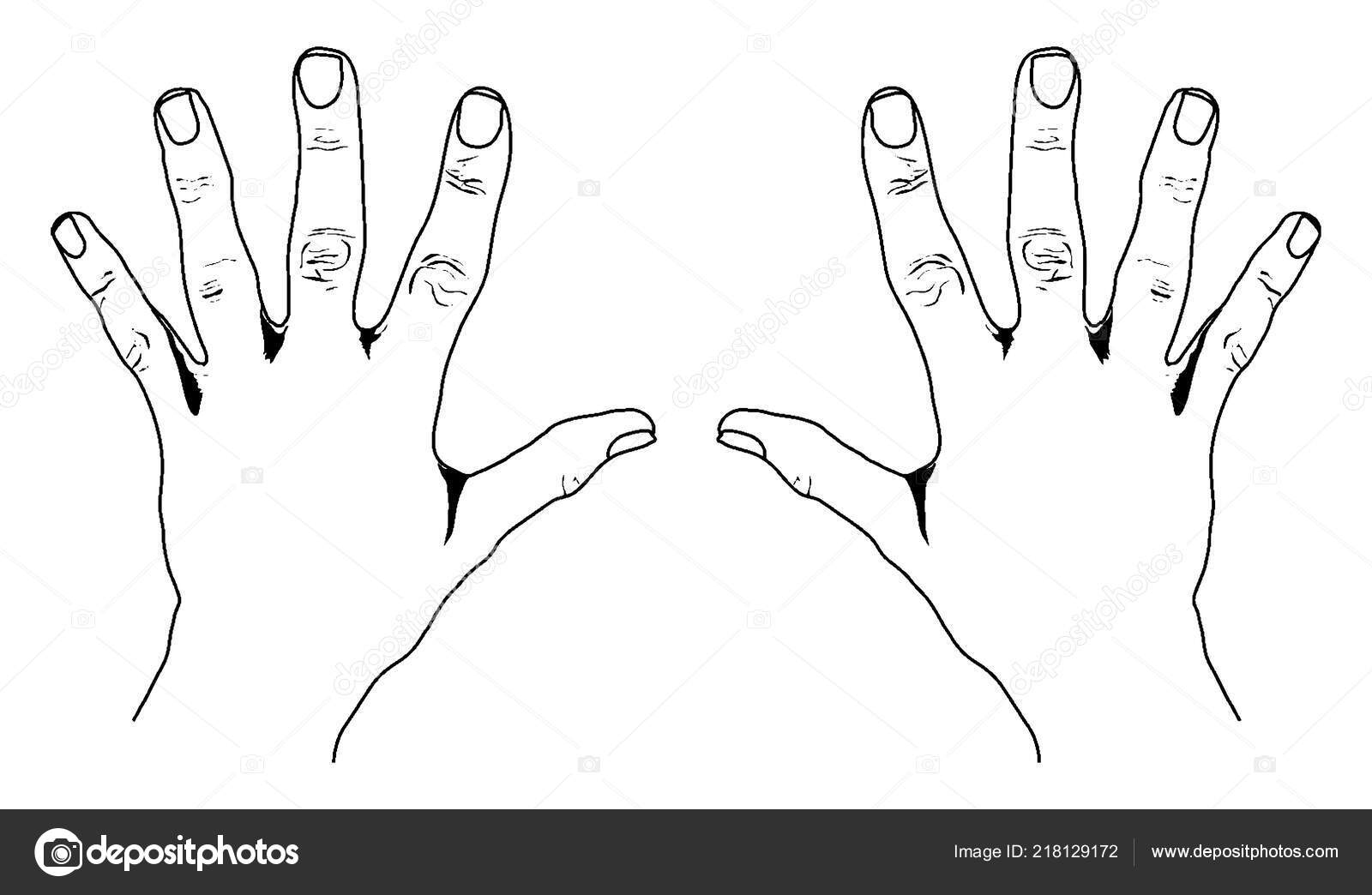 Back Of Right Hand Drawing