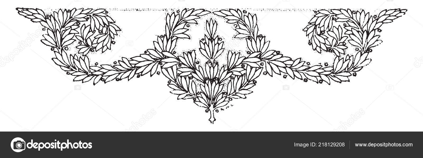 Doodad Design Fill Beautiful Bunch Leaves Vintage Line Drawing ...