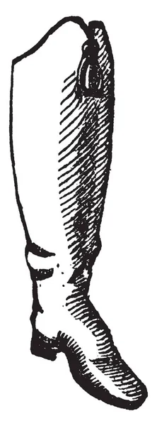 9,803,956 Arranque del hessian Vector Images | Depositphotos