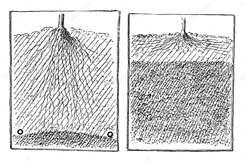 Vettoriale stockQuesta Illustrazione Rappresenta Water Table Diagramma ...