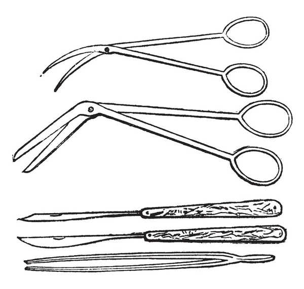 7,933,353 Medieval medical tools Vector Images | Depositphotos