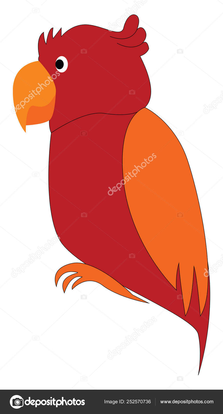 Red and orange parrot cartoon vector illustration on white backg Stock ...