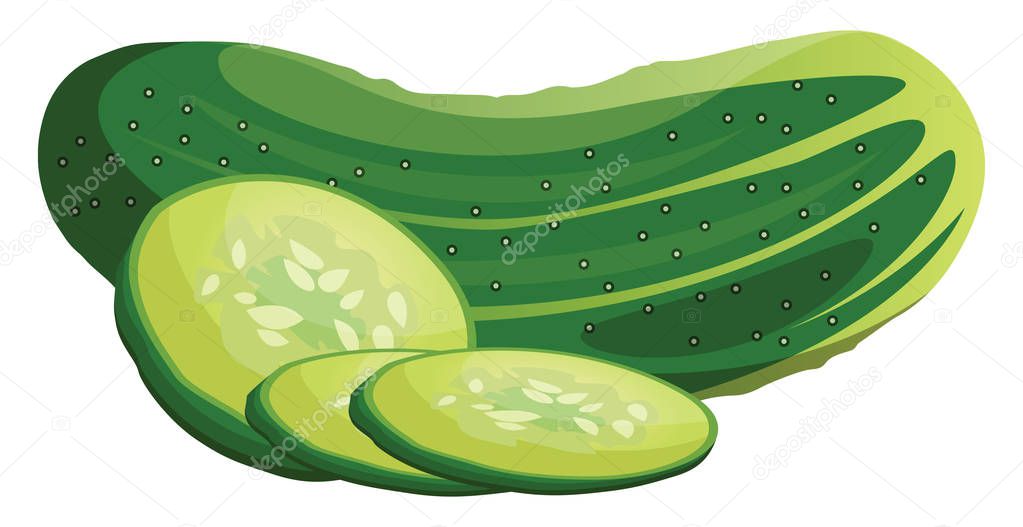 Pepino verde y rodajas de dibujos animados vector vegetal ilustración 2024