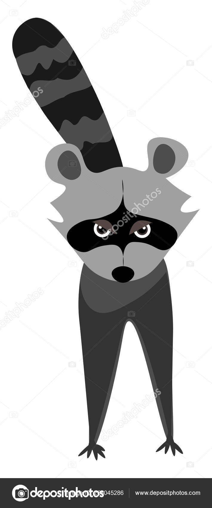 Little Dark Staring Raccoon Vector Color Drawing Illustration Stock ...