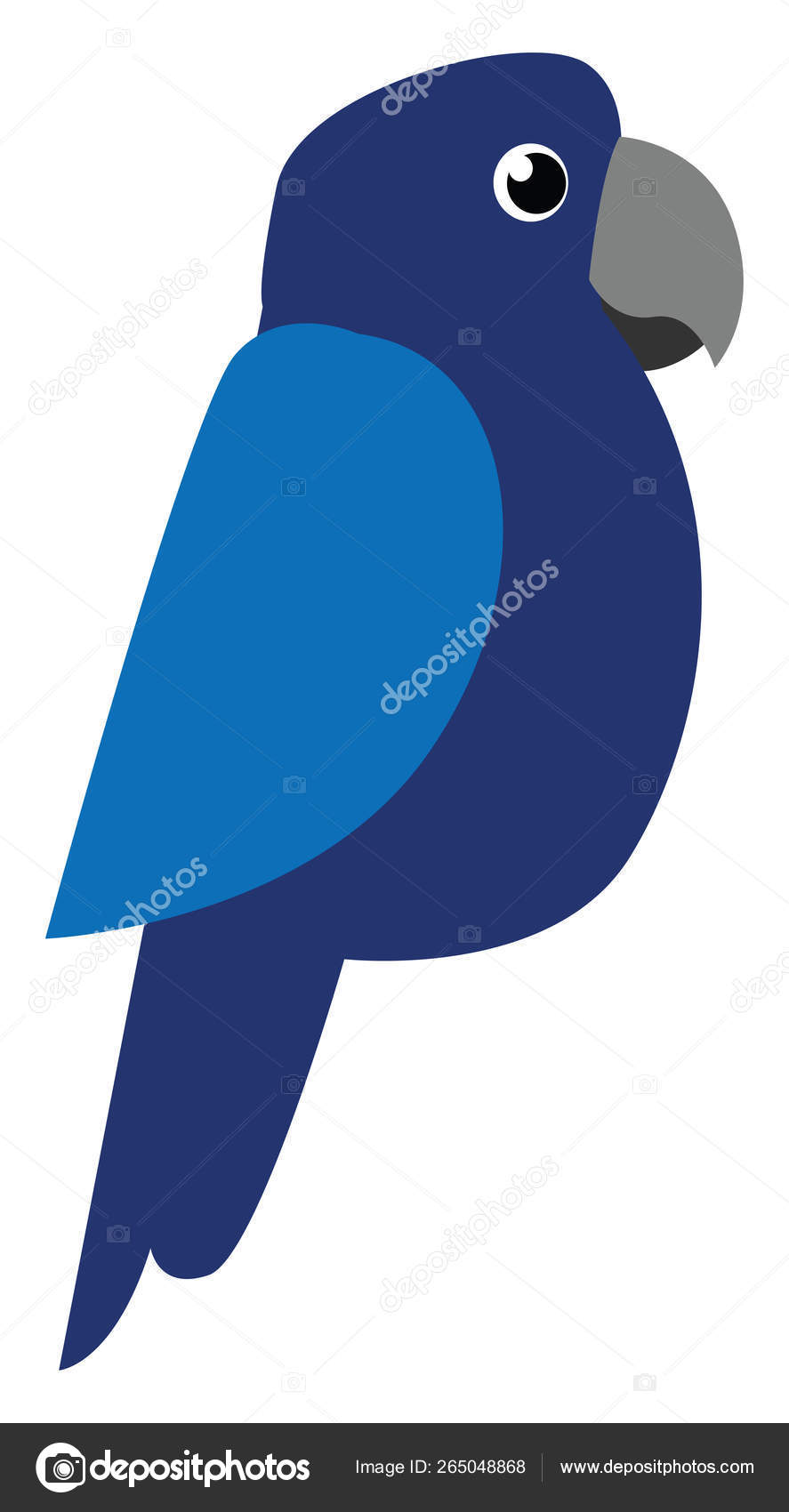 Cute little cartoon blue parrot vector or color illustration Stock ...