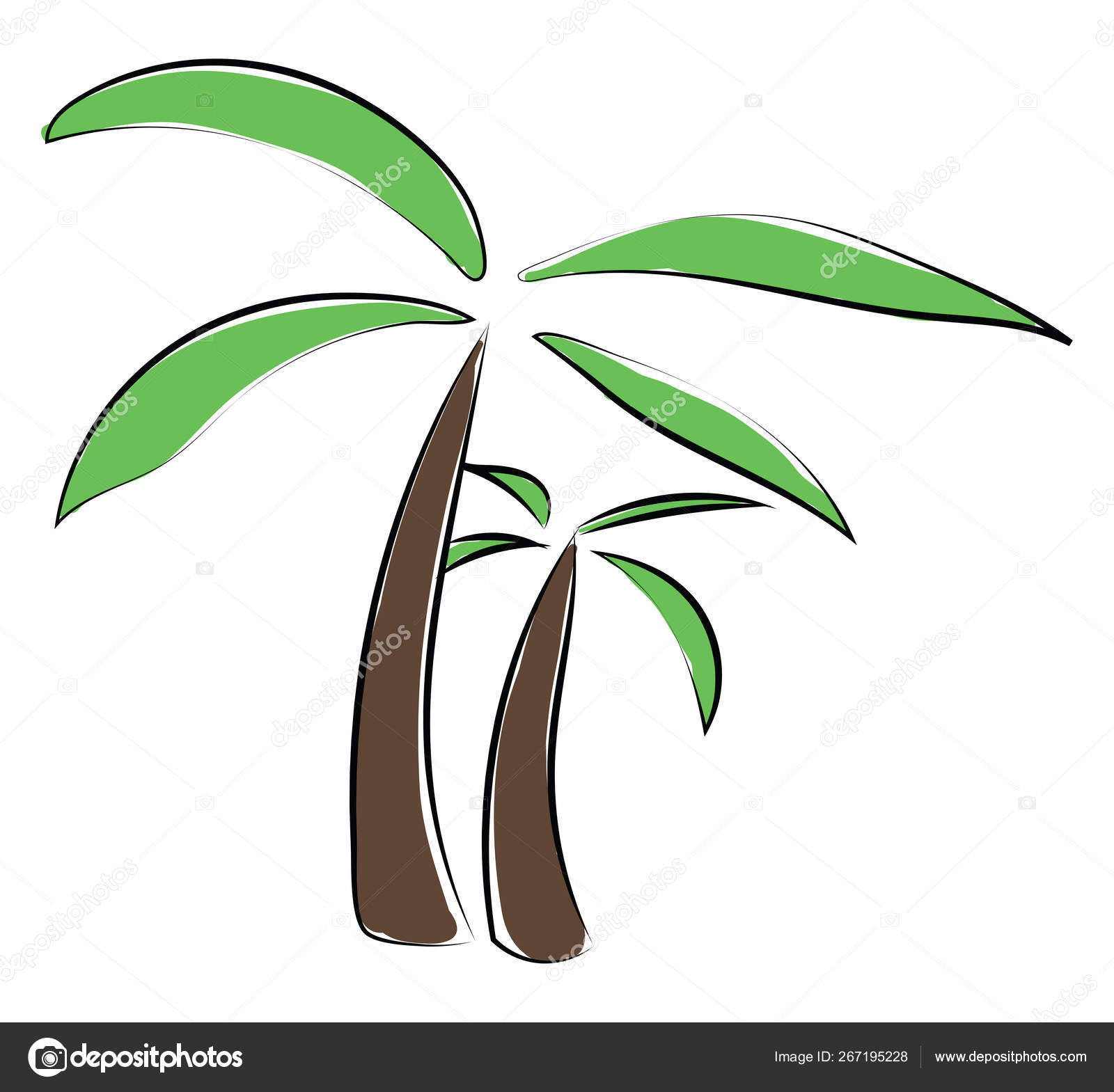 Dessins De Palmiers En Couleur 329 Outline Of Palm Tree Stock Photos,