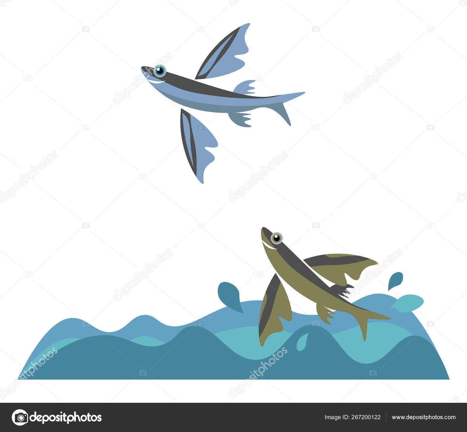 Flying fish, vector or color illustration. Stock Illustration by ...