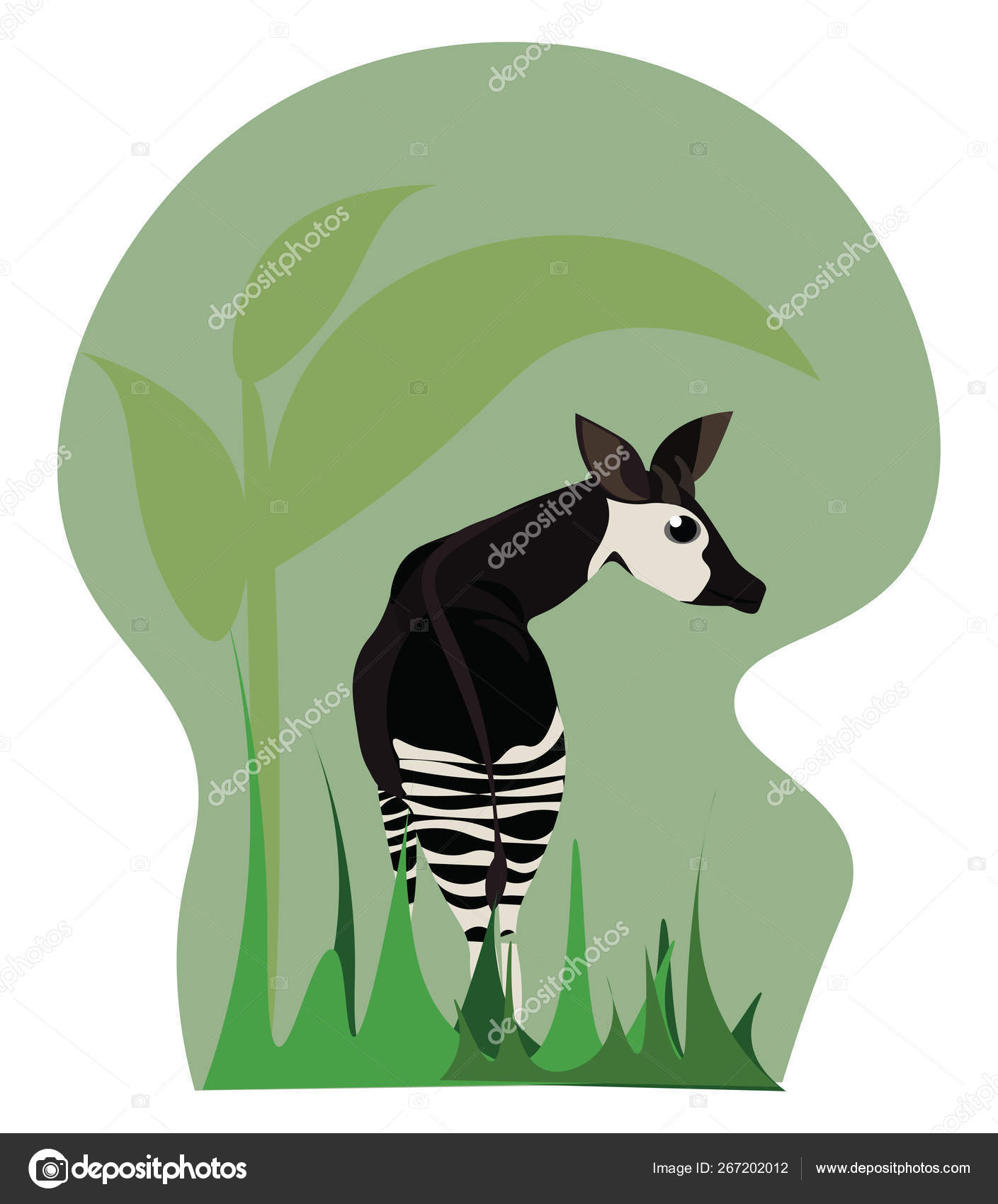 Okapi, vector or color illustration. Stock Vector by ©Morphart 267202012