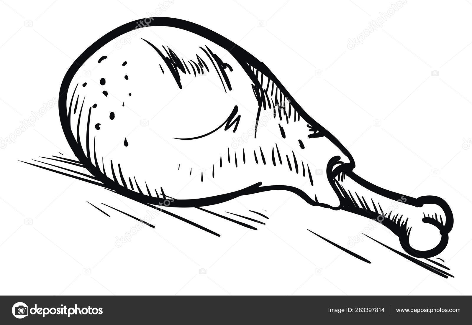 Chicken leg sketch, illustration, vector on white background. — Stock ...