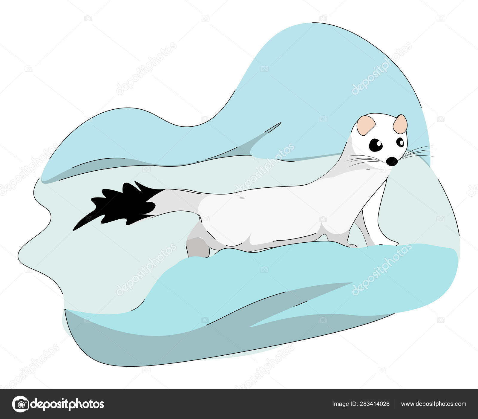 White stoat, illustration, vector on white background. Stock Vector ...