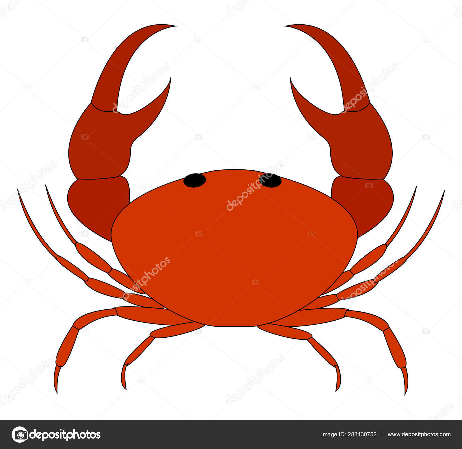 Red crab, illustration, vector on white background. Stock Illustration ... Red crab, illustration, vector on white background. Stock Illustration ...