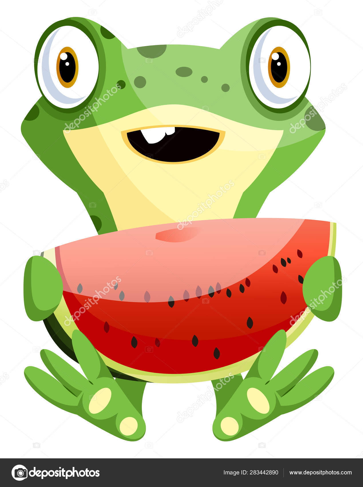 Cute baby frog holding a watermelon, illustration, vector on whi Stock ...