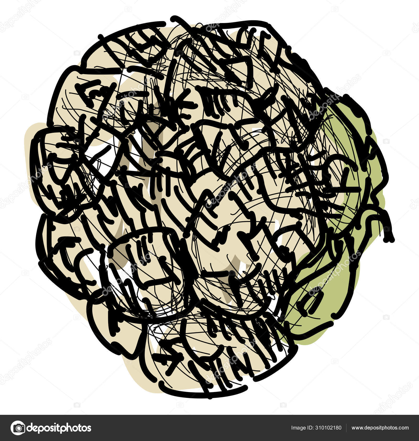 Cauliflower drawing, illustration, vector on white background. Stock ...