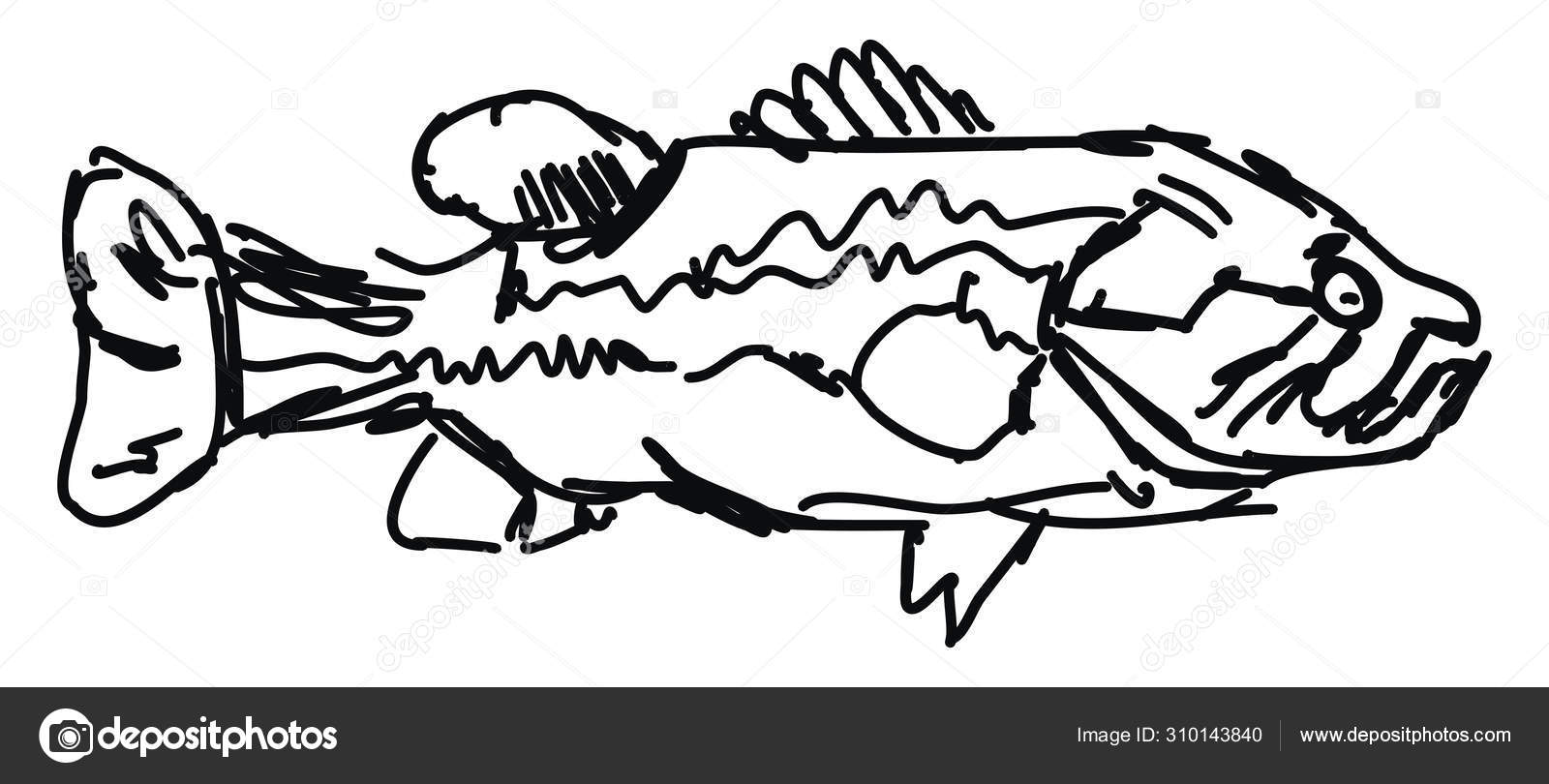 Fish drawing, illustration, vector on white background. Stock Vector by ...