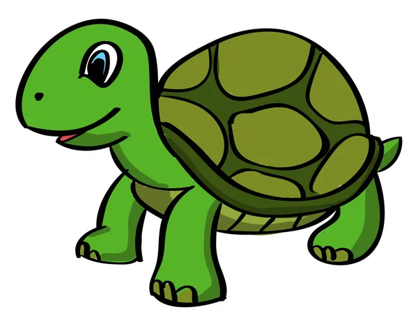 Winking Turtle Red Hat Illustration Vector White Background Stock ...