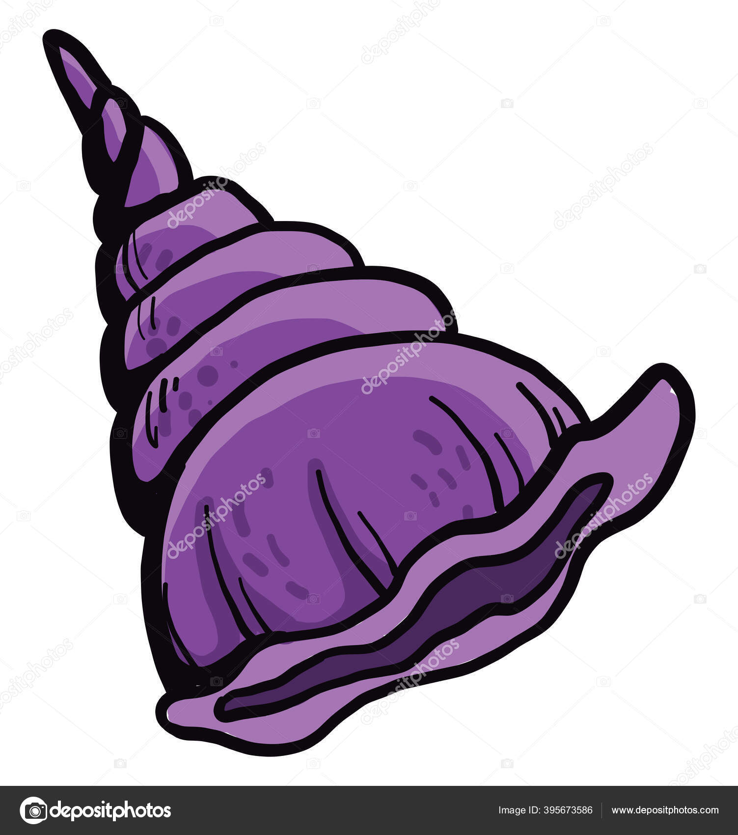 Seashell Cartoon Purple