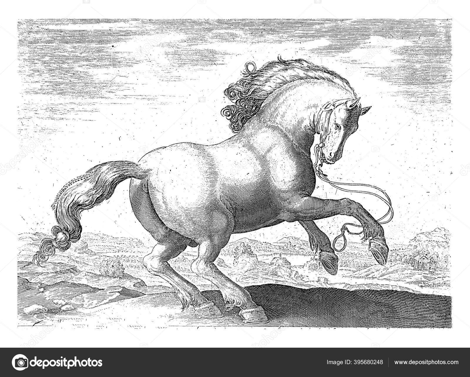 Horse Denmark Anonymous Hans Collaert Hendrick Goltzius Jan Van Der ...