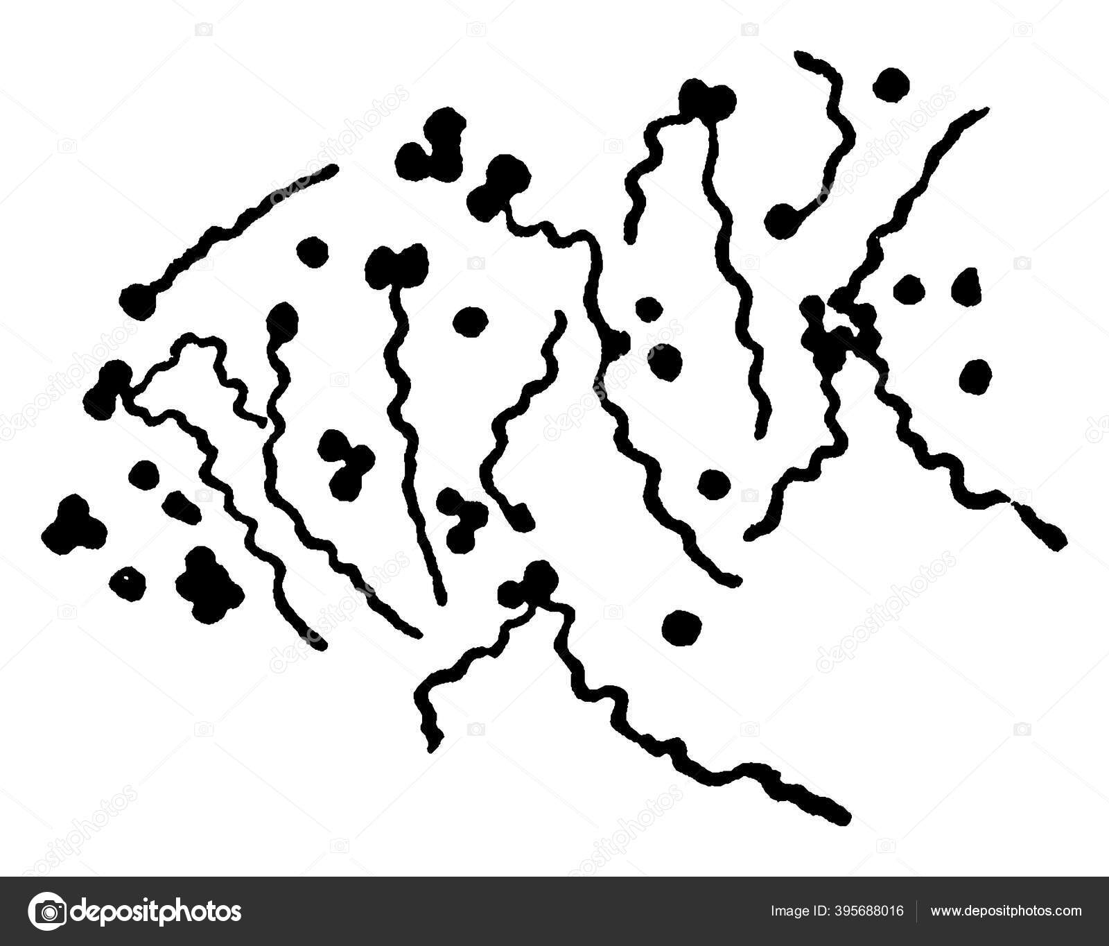 Typical Representation Motile Coccus Shaped Bacteria Planococcus ...