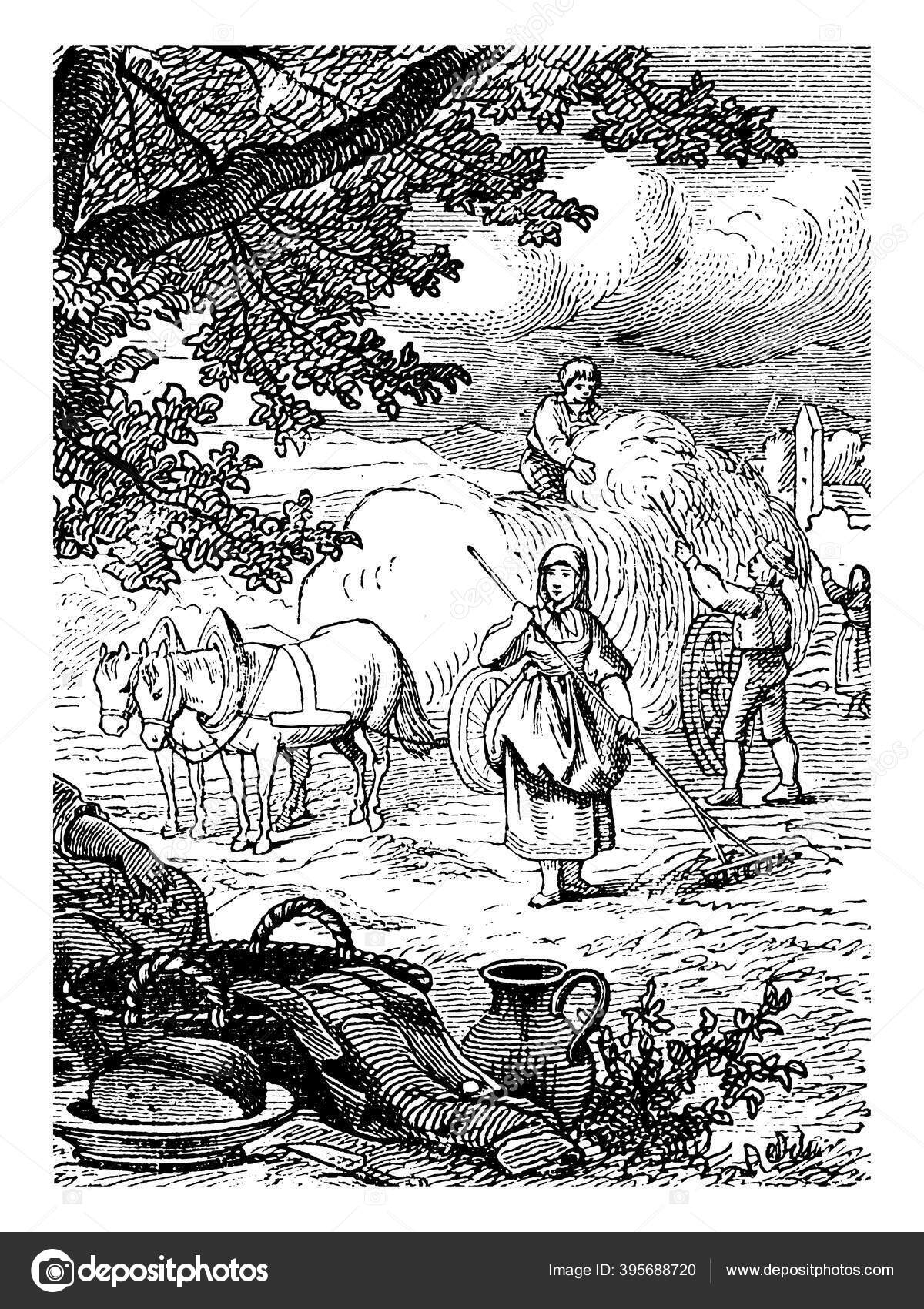 Raking Hay Which Loading Hay Wagon Vintage Line Drawing Engraving Stock ...