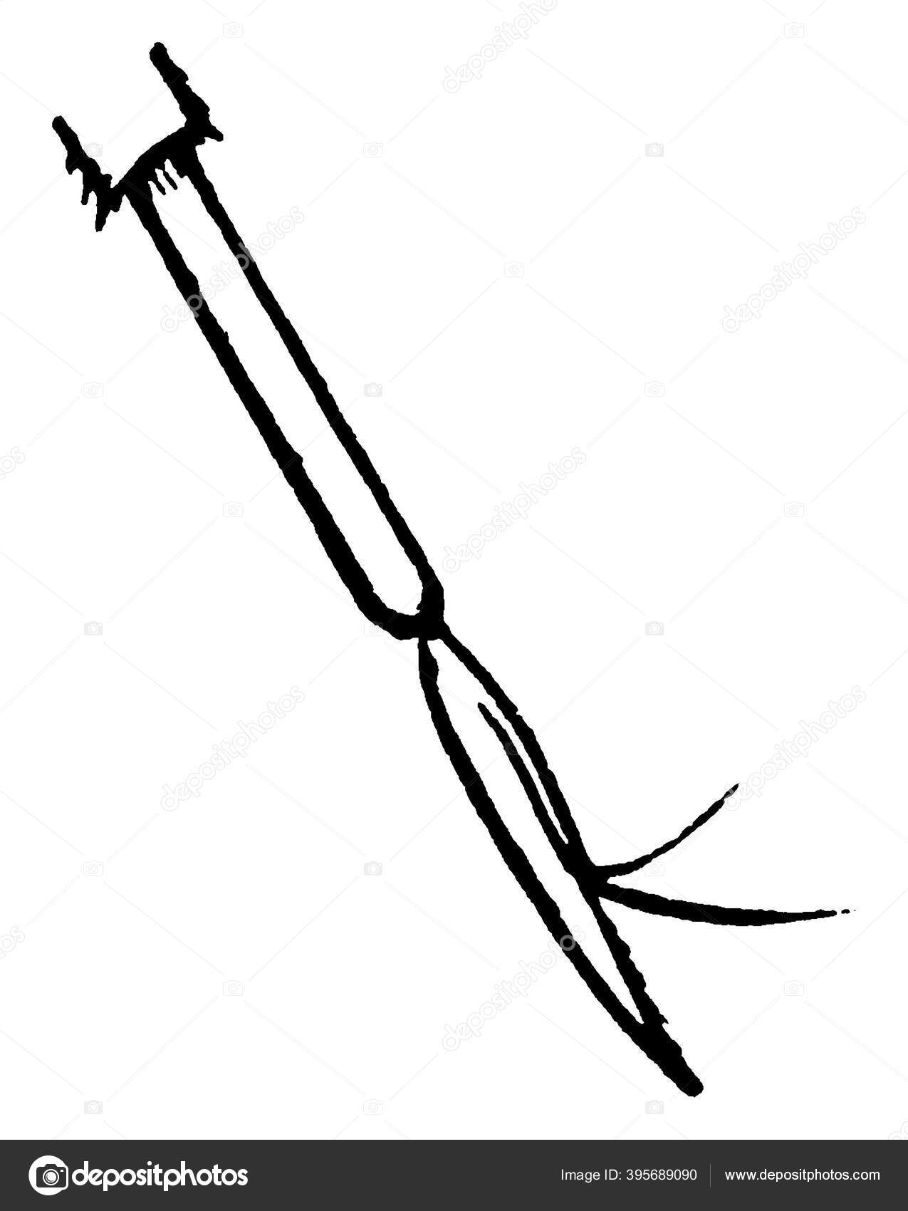 Image Water Strider Rheumatobates Rileyi Female Hind Tarsus Vintage ...