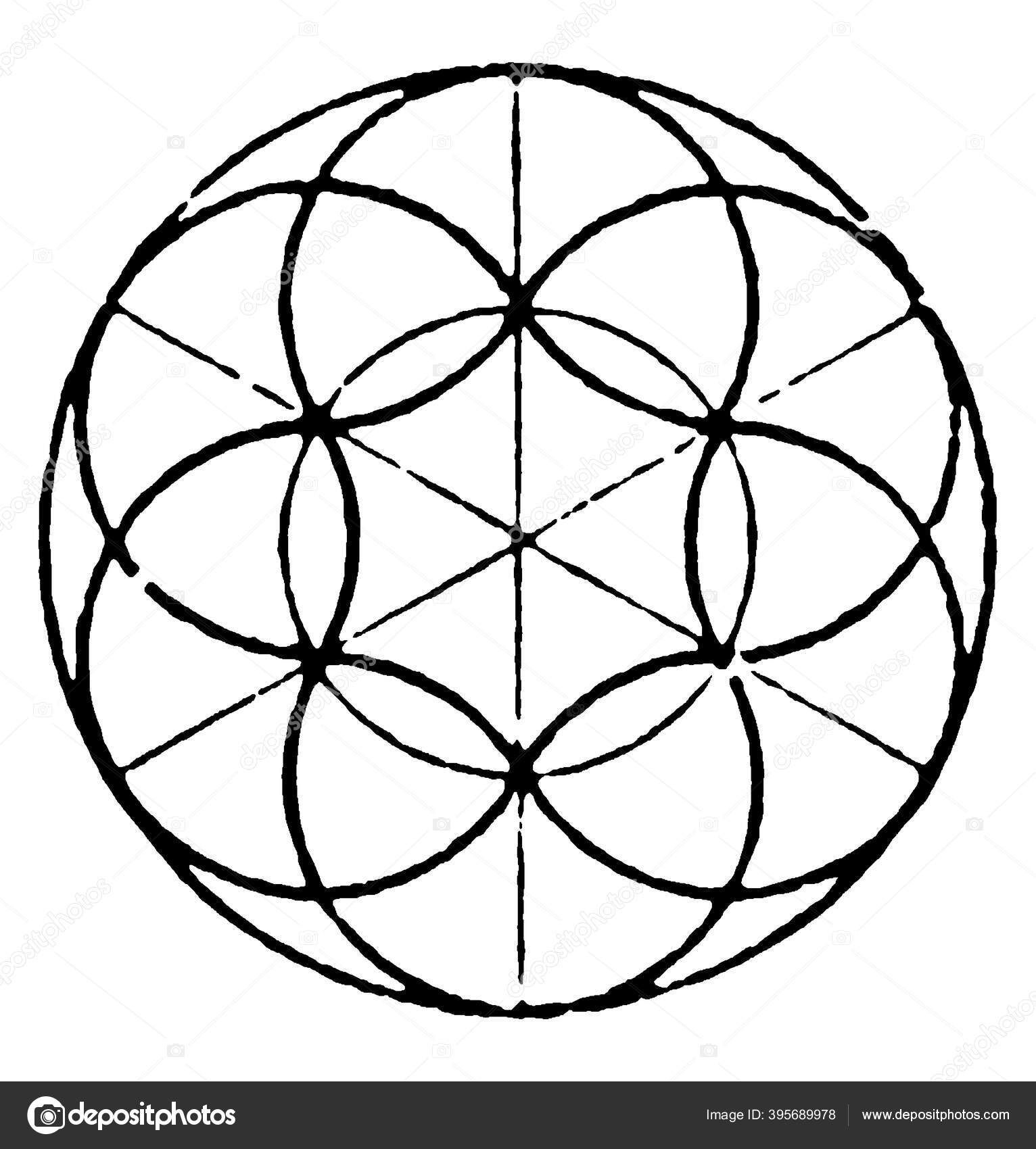 Radial Balance Flower Drawing