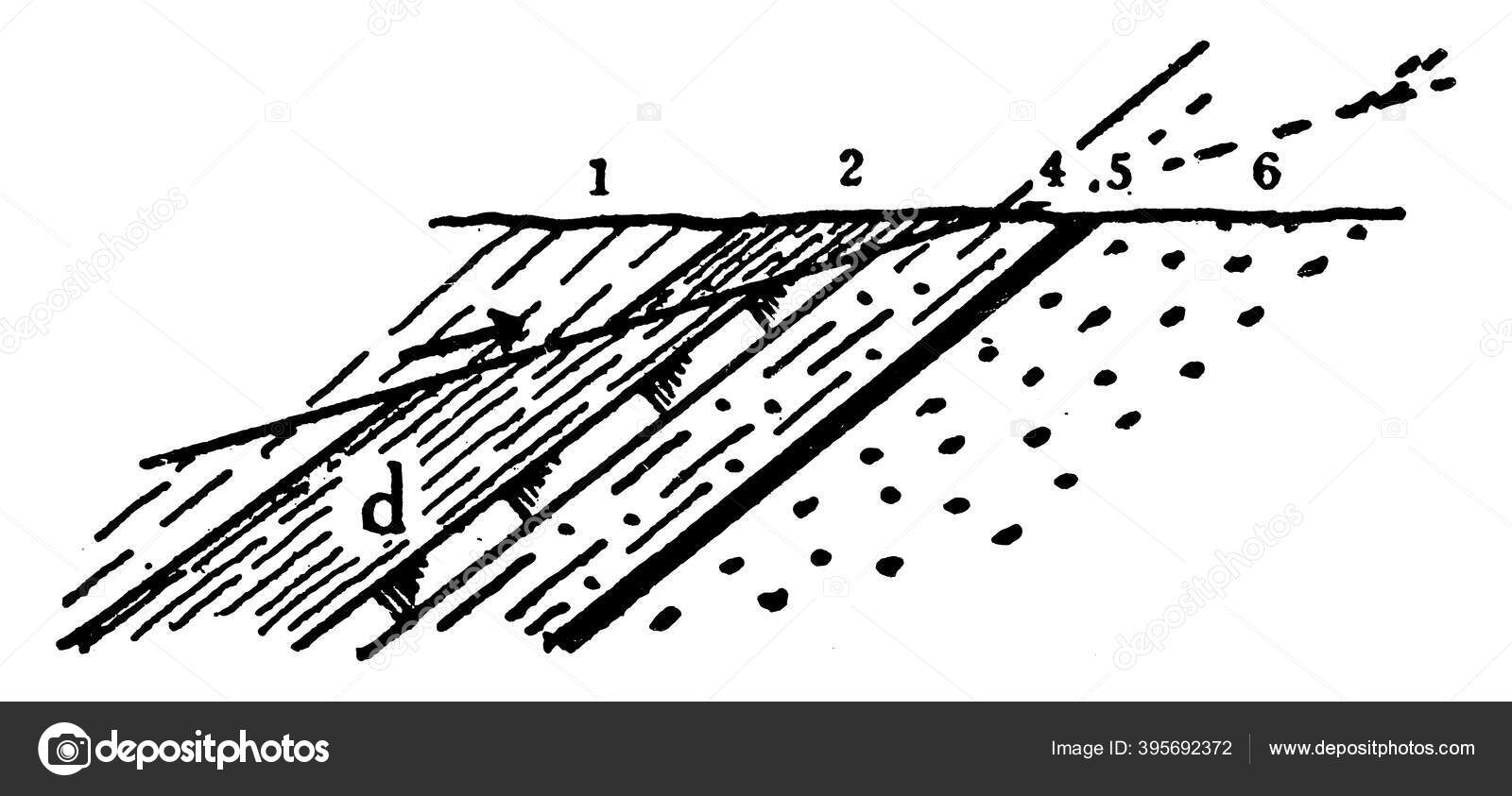 Thrust Fault Break Earth's Crust Which Older Rocks Pushed Younger Stock ...