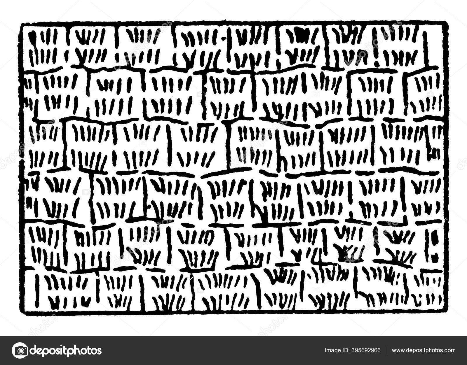 Typical Representation Rice Topographical Map Vintage Line Drawing ...
