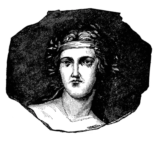 Helios Cattle Drawing