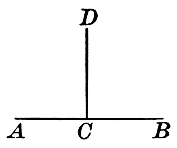 Adjacent angles Vector Art Stock Images | Depositphotos