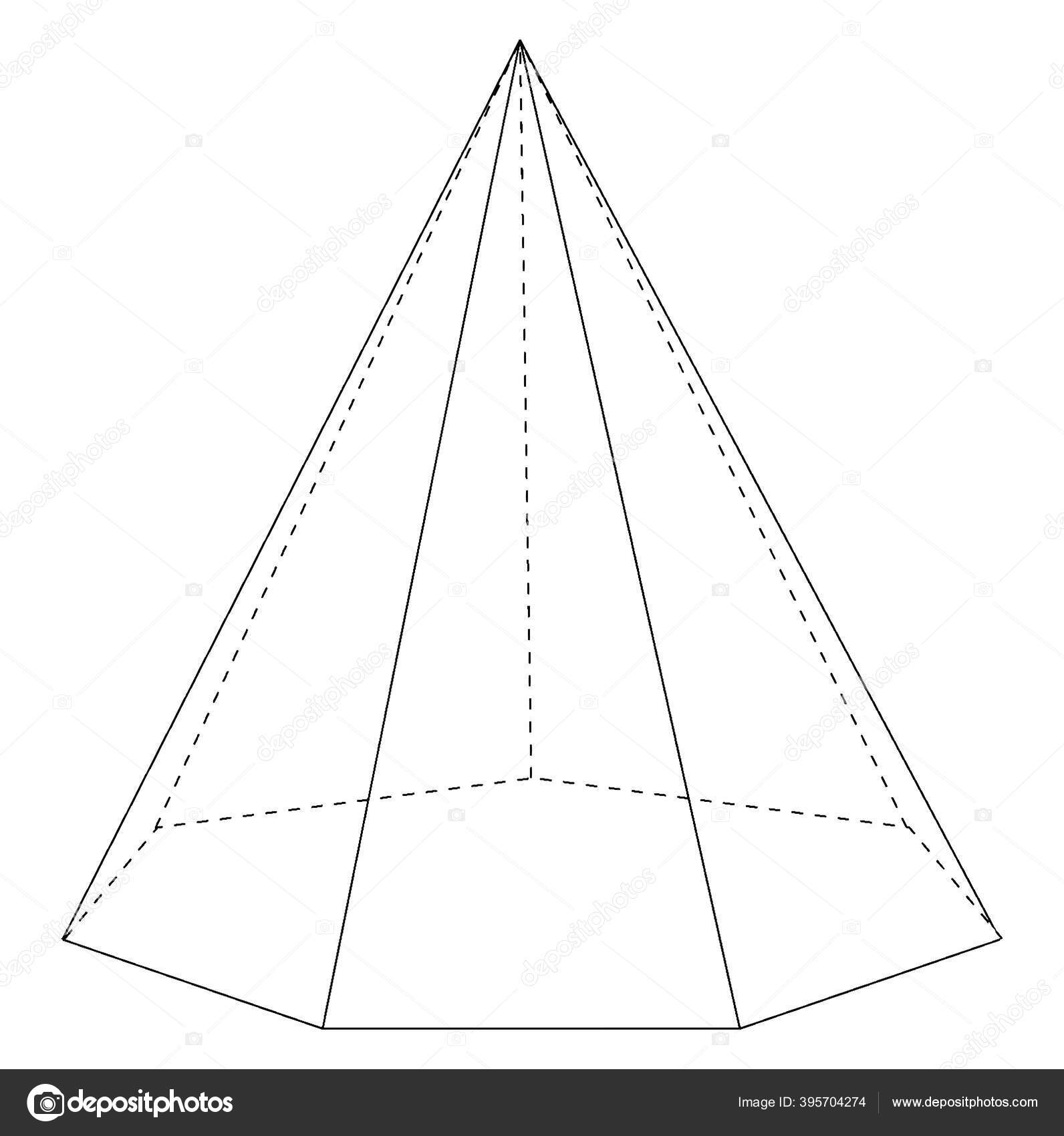 Rede De Piramide Heptagonal