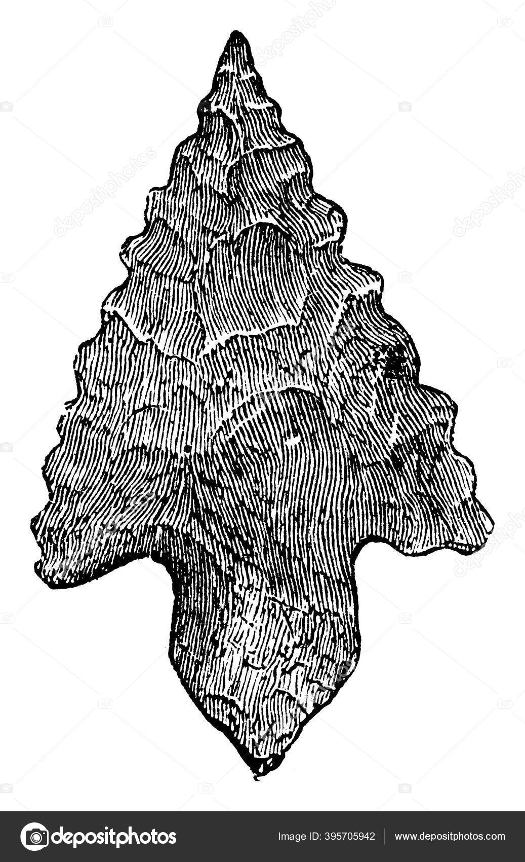 Typical Representation Old Stone Relic Norse Warfare Vintage Line ...