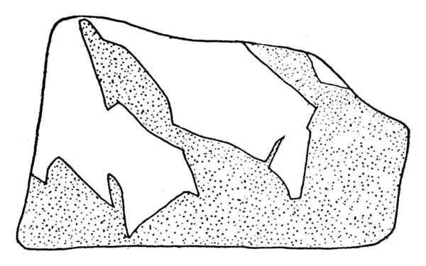 Sedimentary Rock Drawing