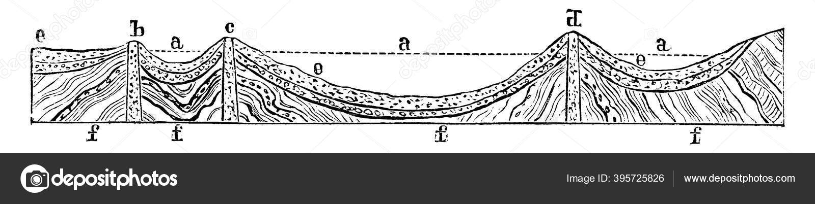 Sandstone Sedimentary Rock Composed Mostly Quartz Sand Other Organic ...