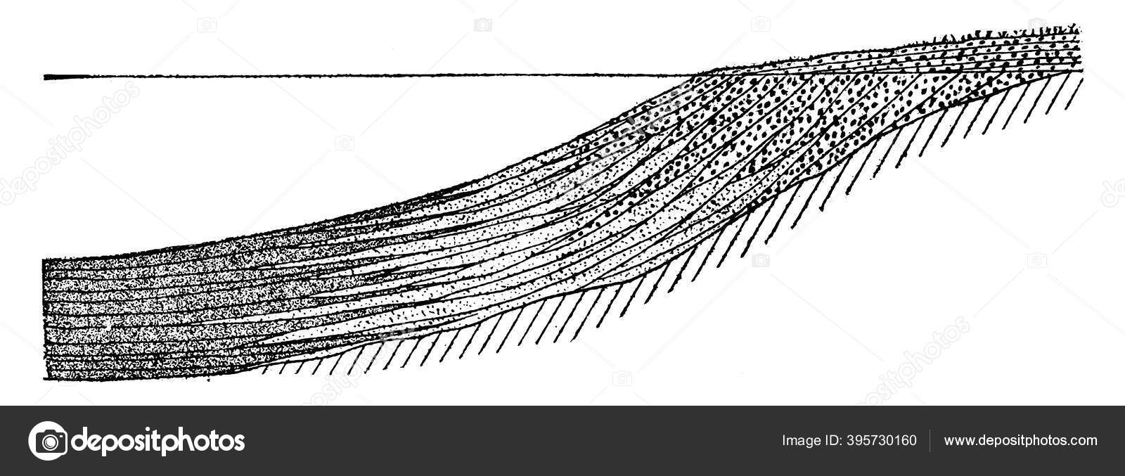 Figure Showing River Delta Occurs River Enters Ocean Sea Estuary Stock ...