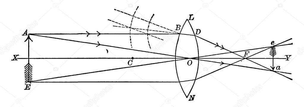 Biconvex, Royalty-free Biconvex Vector Images & Drawings | Depositphotos®