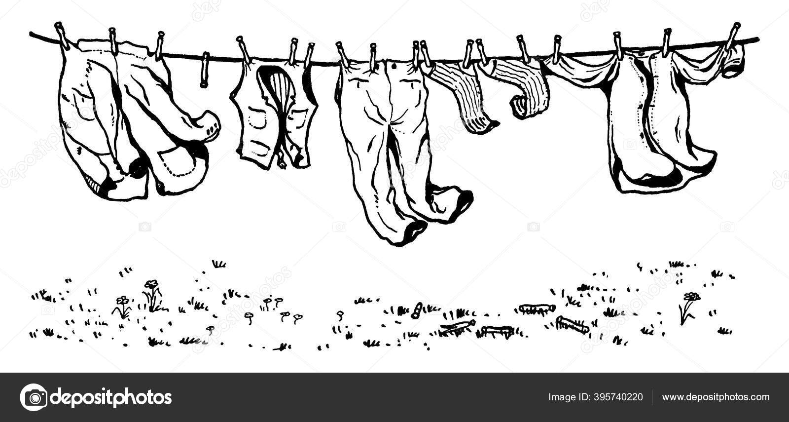 Drying Clothes Household Linens Clothesline Vintage Line Drawing ...