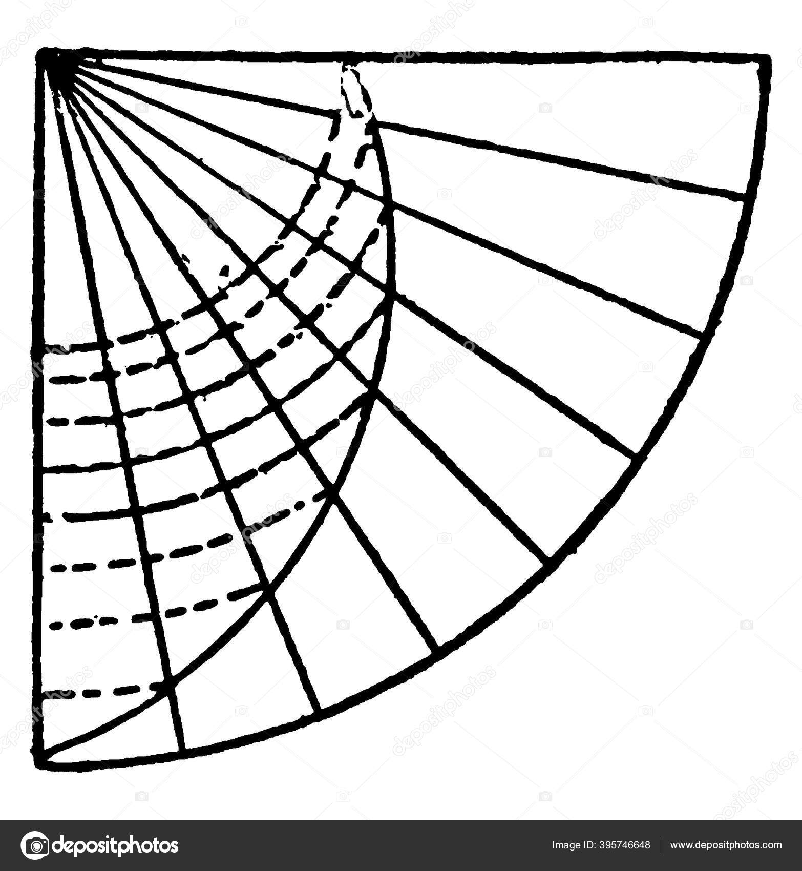 Una Representación Típica Una Espiral Hiperbólica Una Curva Plana ...