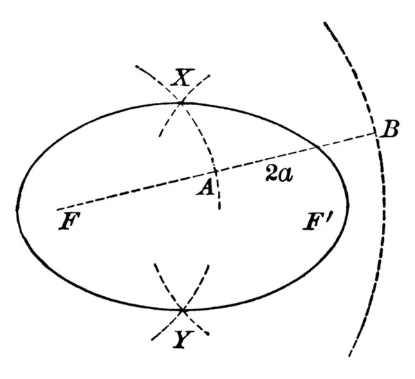 65 Locus Vector Images | Depositphotos