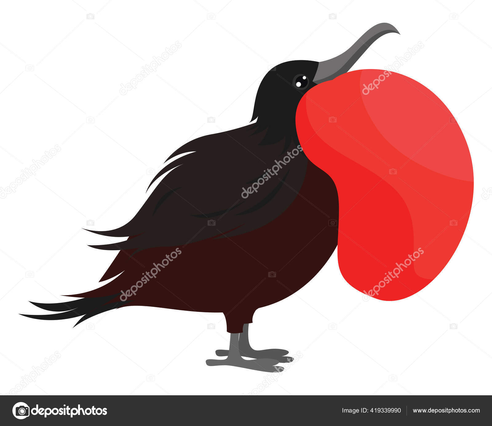 Frigatebird Illustration Vector White Background Stock Vector Image By ©morphart 419339990