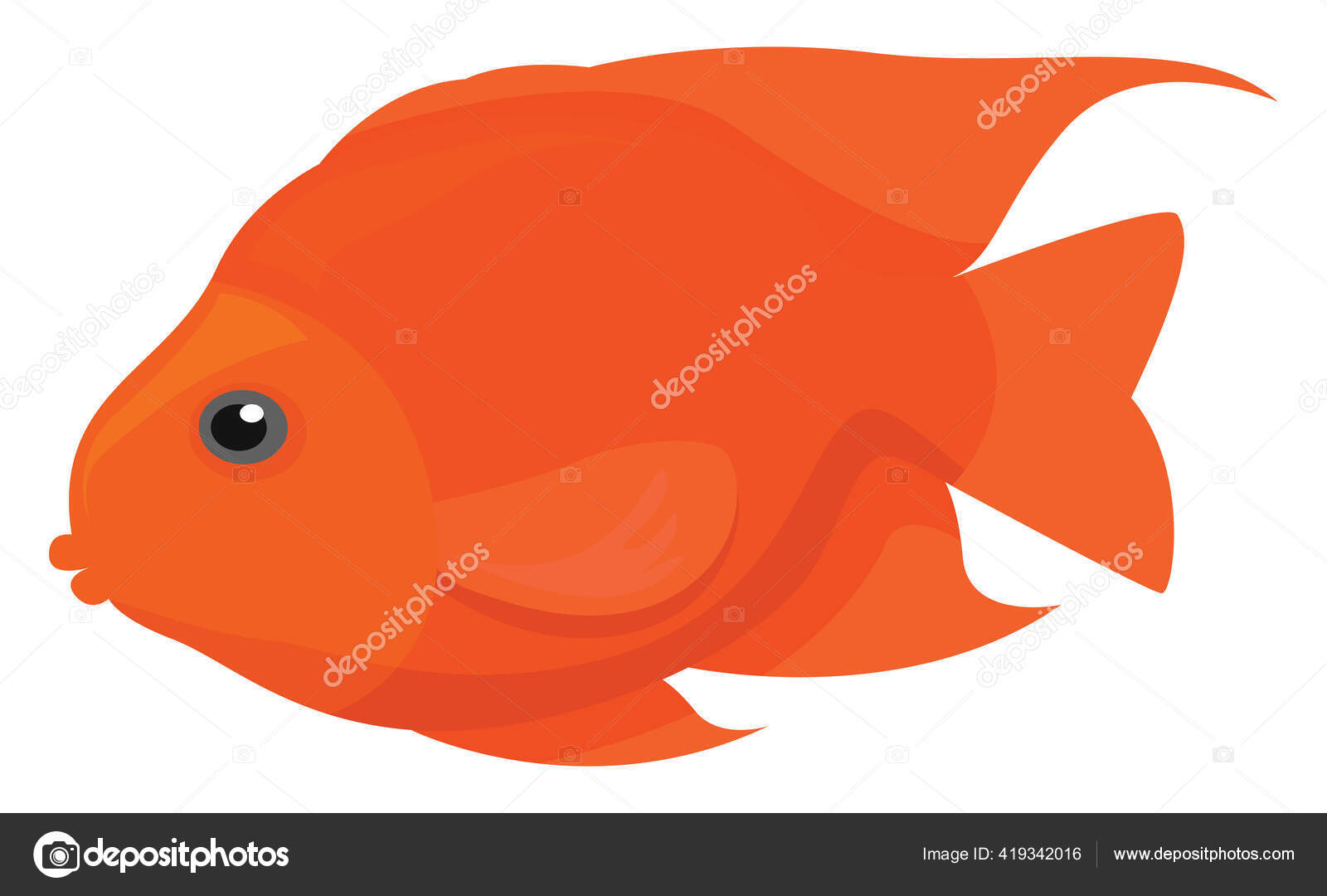 Orange Fish Illustration Vector White Background Stock Vector by ...