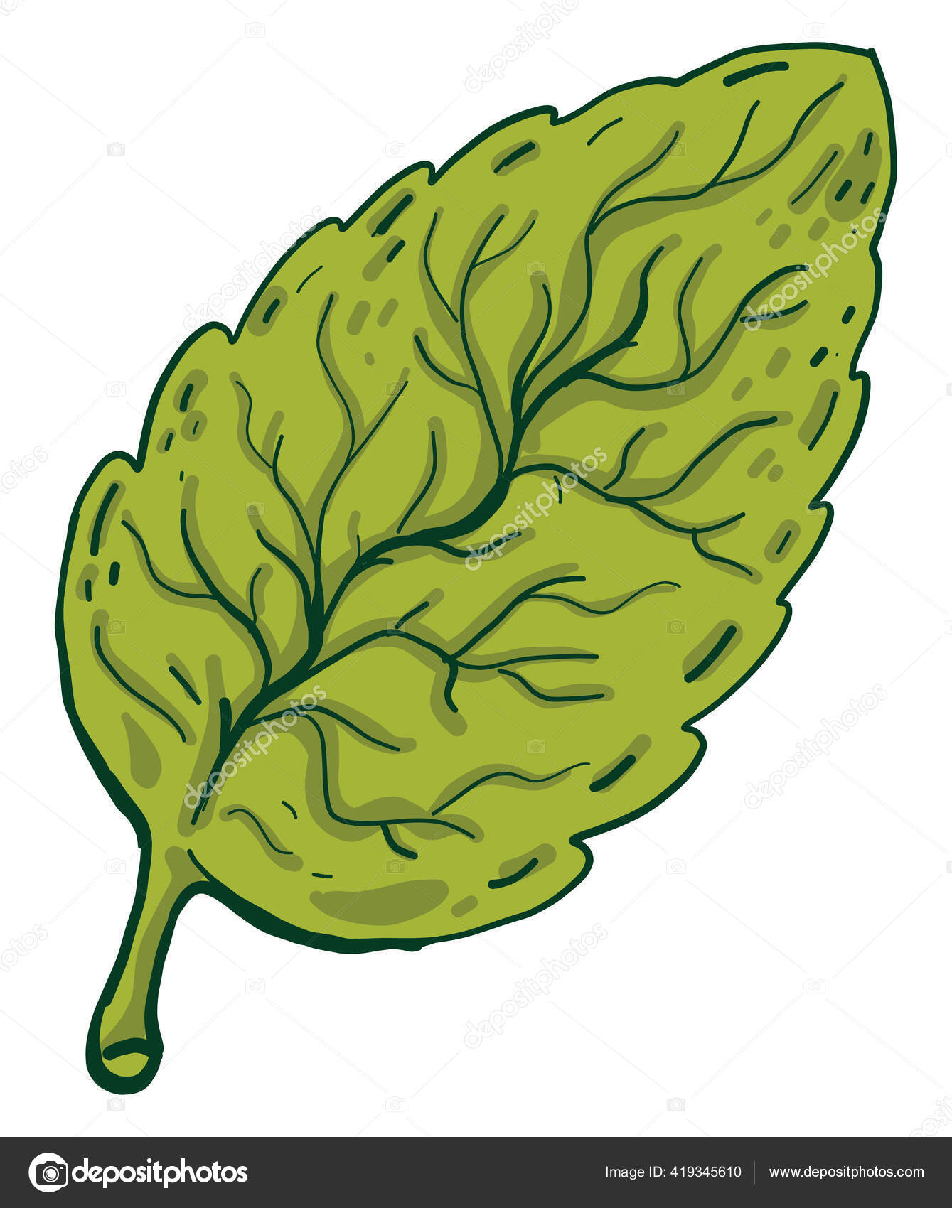Big Green Leaf Illustration Vector White Background Stock Vector by ...