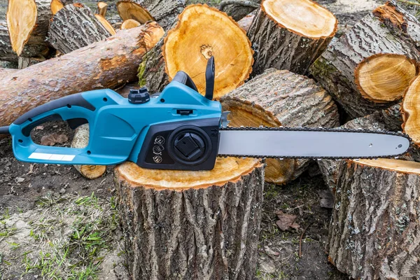 Chainsaw. Close-up of woodcutter sawing chain saw. Close up ...