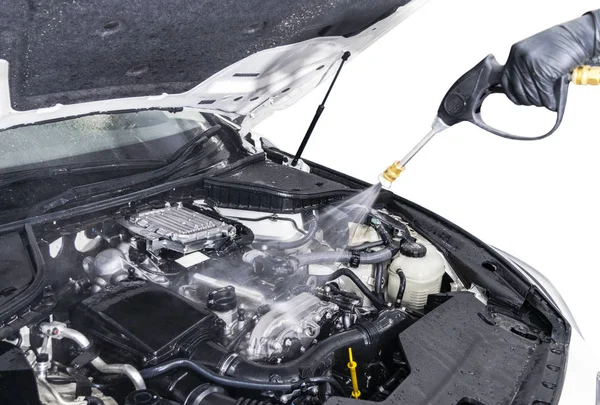 Car engine cleaning Stock Photos, Royalty Free Car engine cleaning ...